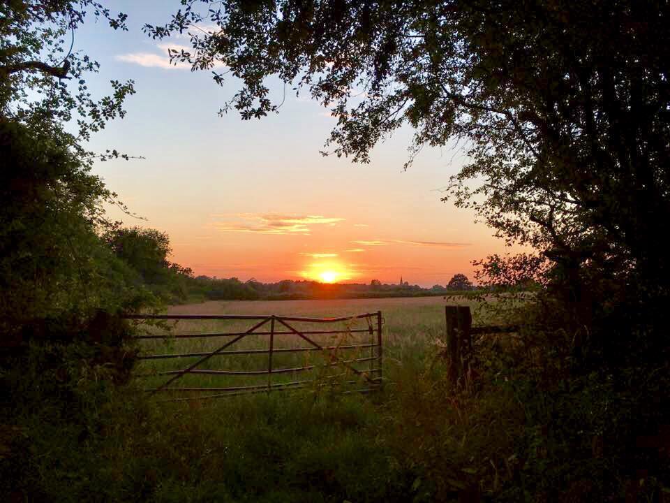 Chesworth Farm is a Hidden Gem, it’s official! | Friends of Chesworth Farm